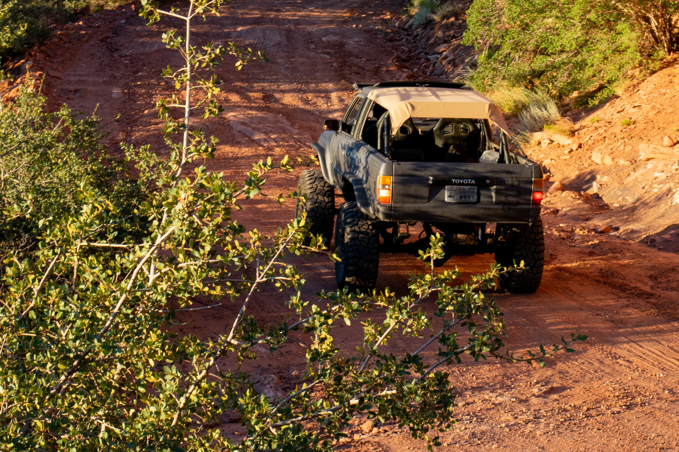 SofTopper Bikini Top for the '84-'89 Toyota 4Runner – Killer Toy Tops