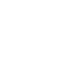 Killer Toy Tops